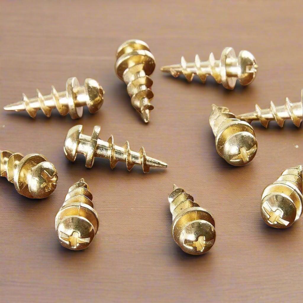 Bear Claw Picture Hanging Screws | Gold Plasterboard Hanger for Frames ...